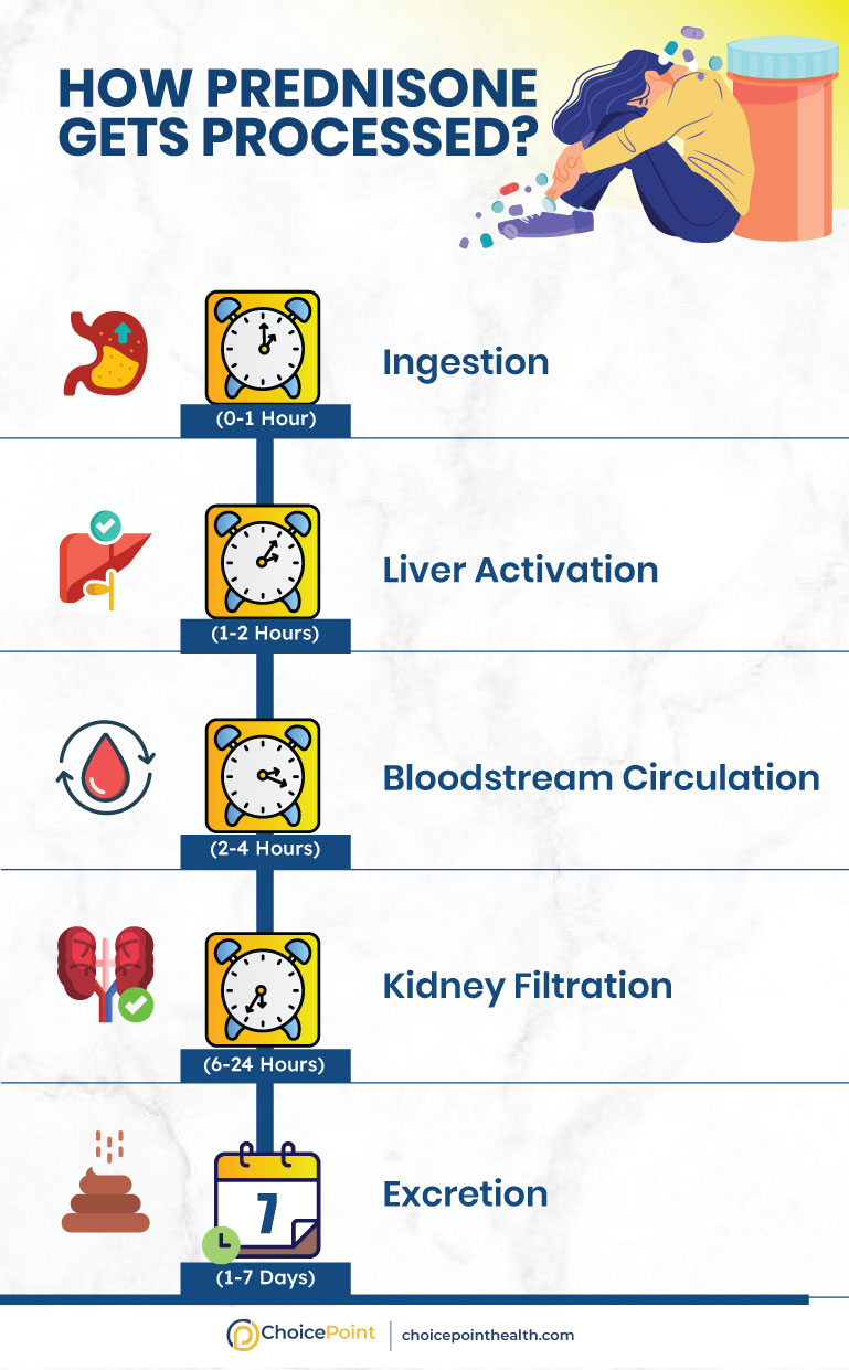 How Long Does Prednisone Stay in Your System? - ChoicePoint